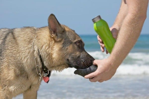 H2O4K9 waterfles: KONG Drinkfles voor Honden van RVS