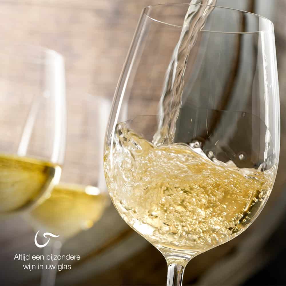 Droge witte wijn: Sauvignon Blanc versus Chardonnay, ontdek het verschil