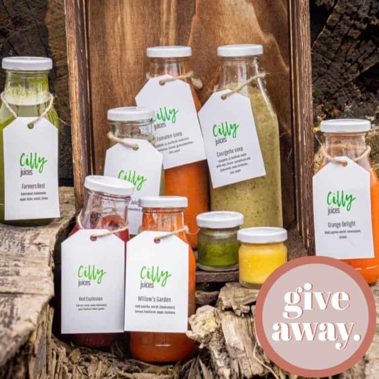 Cilly Juices Detox Recovery Plan Sapvastenkuur: 100% biologisch